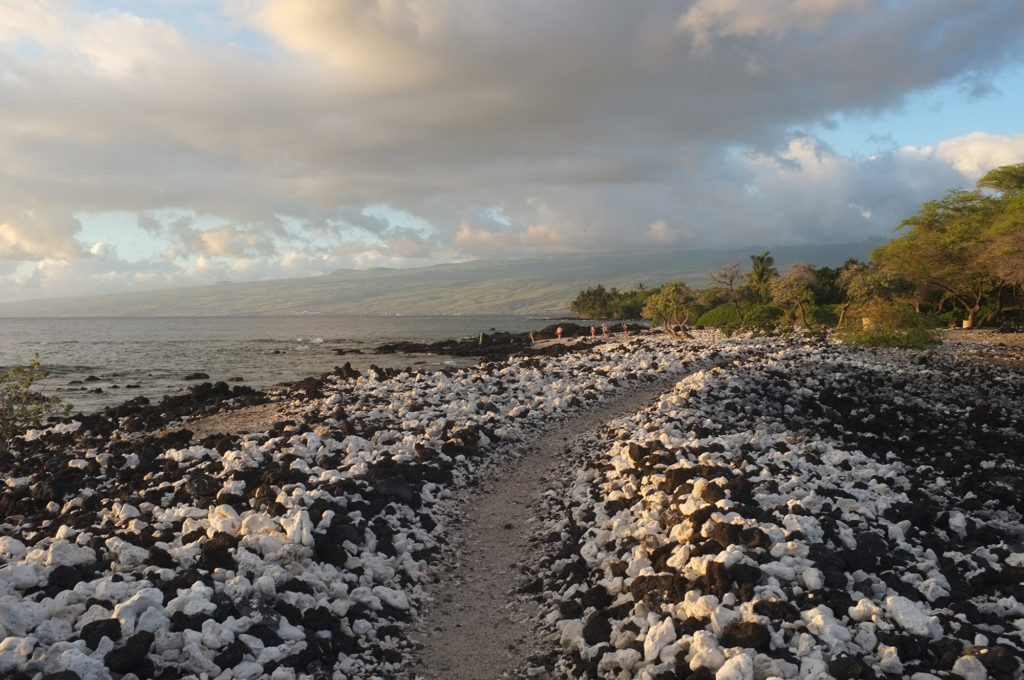 Jon-Michael Sullivan Photography – Jon-Michael Sullivan Photography